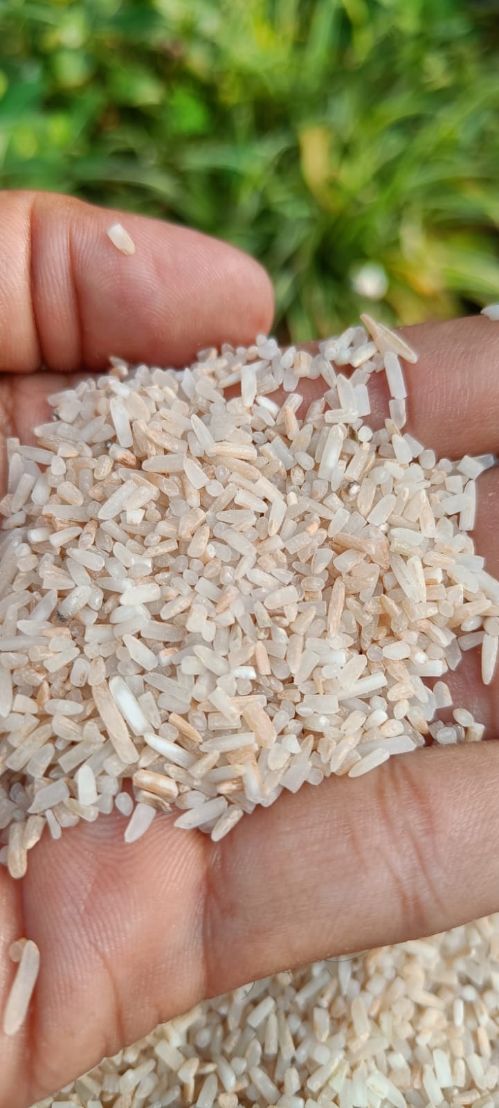 Dhaam Organic- Organic Food