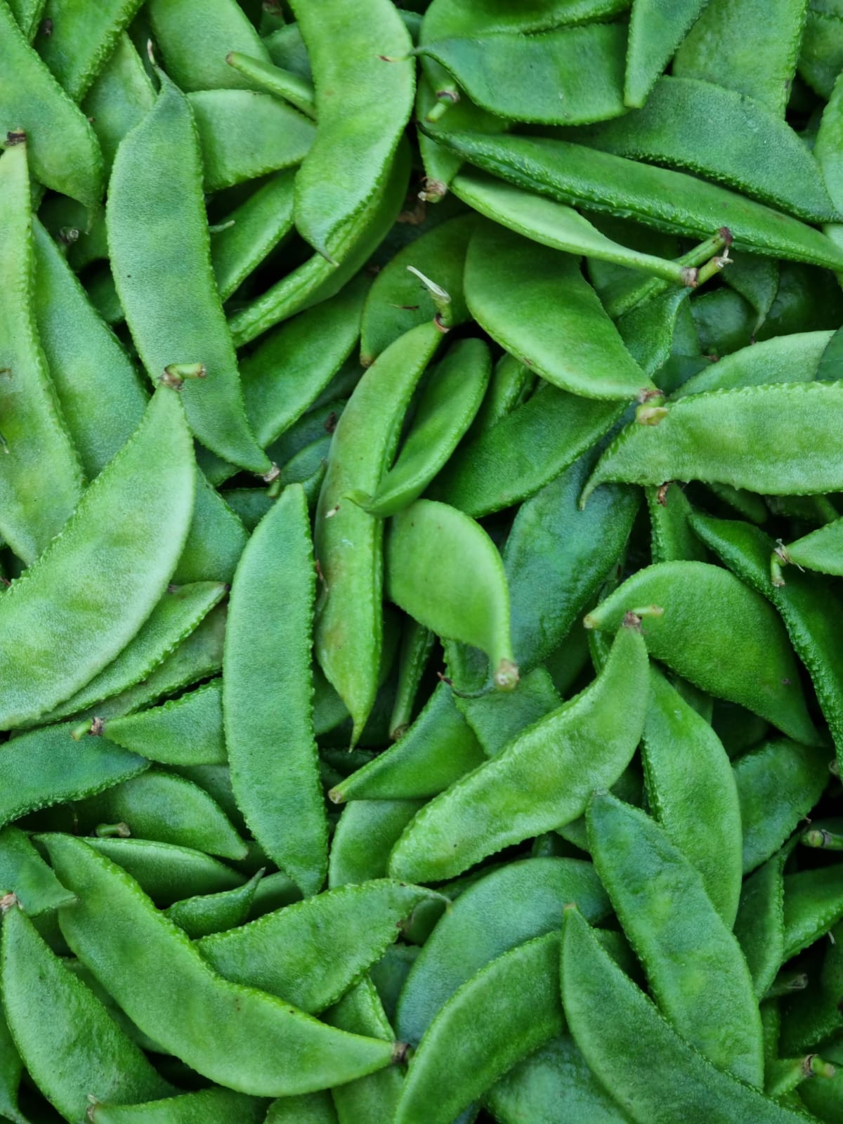 Dhaam Organic- Organic Food